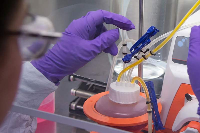 Intravacc – Next-generation vaccines from the experts