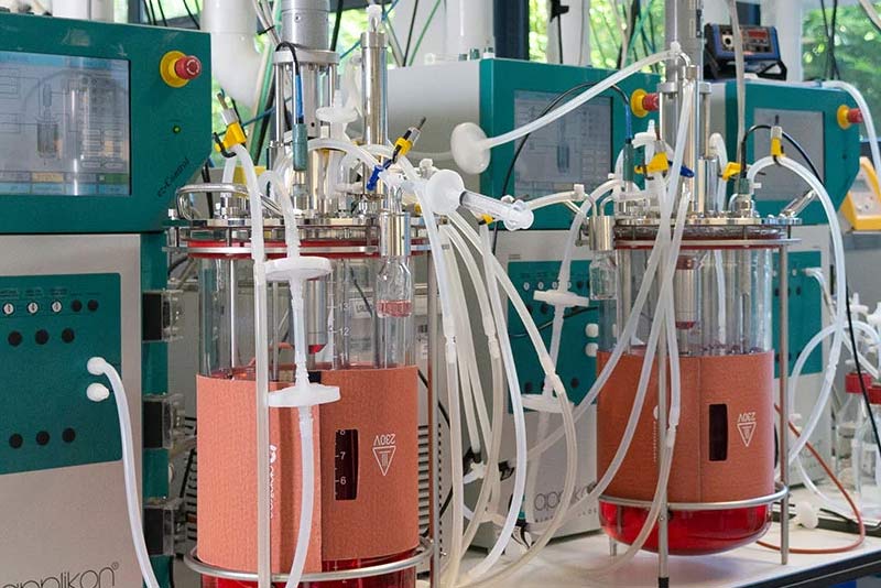 Intravacc – Next-generation vaccines from the experts